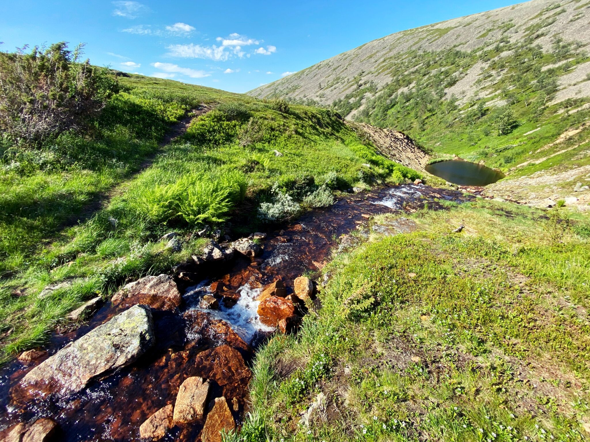 Maantieteen monet suunnat – maantiede.fi